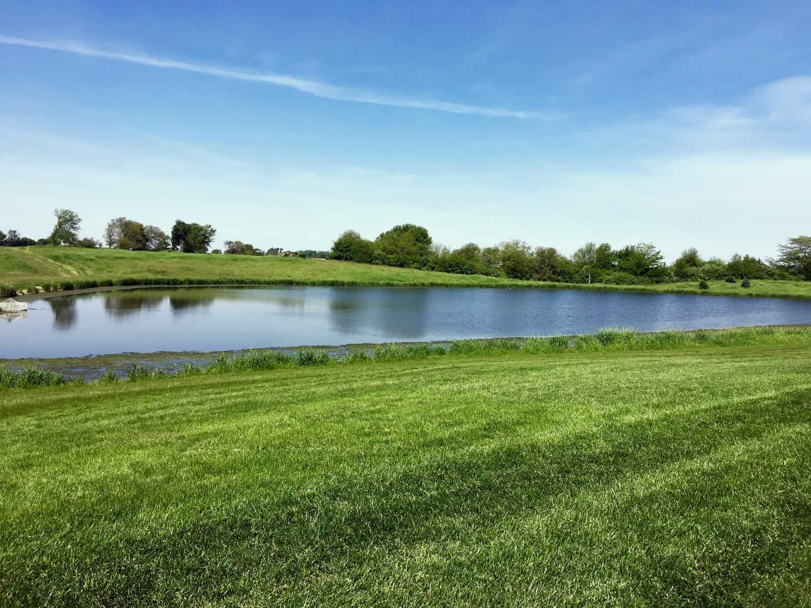 RTF Sod – Rhizomatous Tall Fescue Grass - McKellip Sod Farm