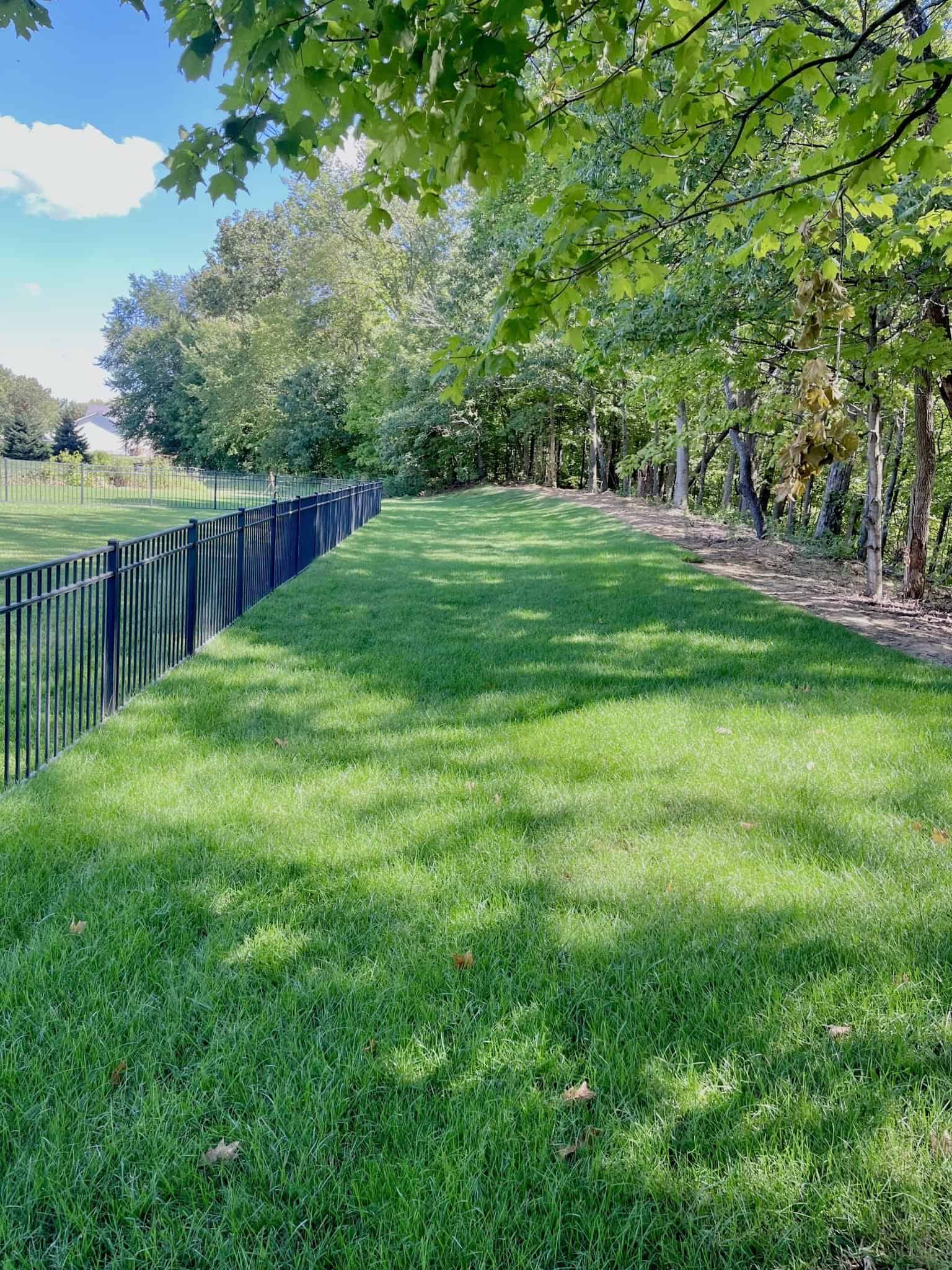 RTF Sod – Rhizomatous Tall Fescue Grass - McKellip Sod Farm