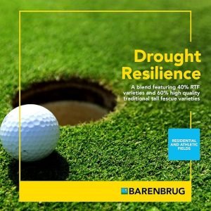 RTF Sod – Rhizomatous Tall Fescue Grass - McKellip Sod Farm