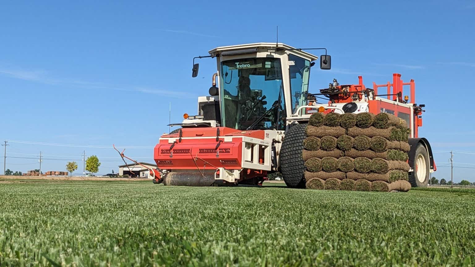 RTF Sod – Rhizomatous Tall Fescue Grass - McKellip Sod Farm