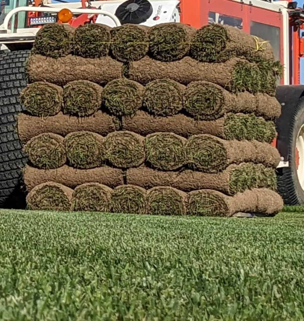 RTF Sod – Rhizomatous Tall Fescue Grass - McKellip Sod Farm